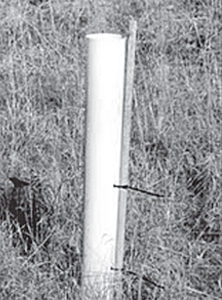 Protecting Trees from Deer with Cages and Shelters - Countryside